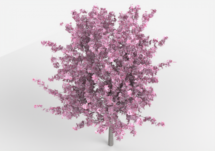 Objetos BIM - ¡Descarga gratuita! Cherry_Tree_in_Bloom - ACCA software